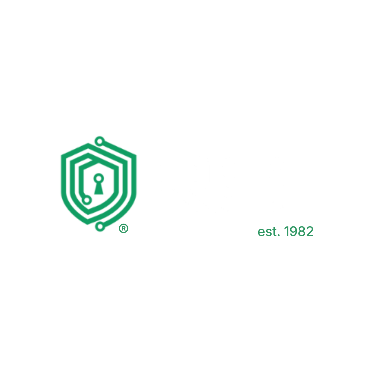 RSI Cybersecurity and IT Solutions | Renaissance Systems Inc